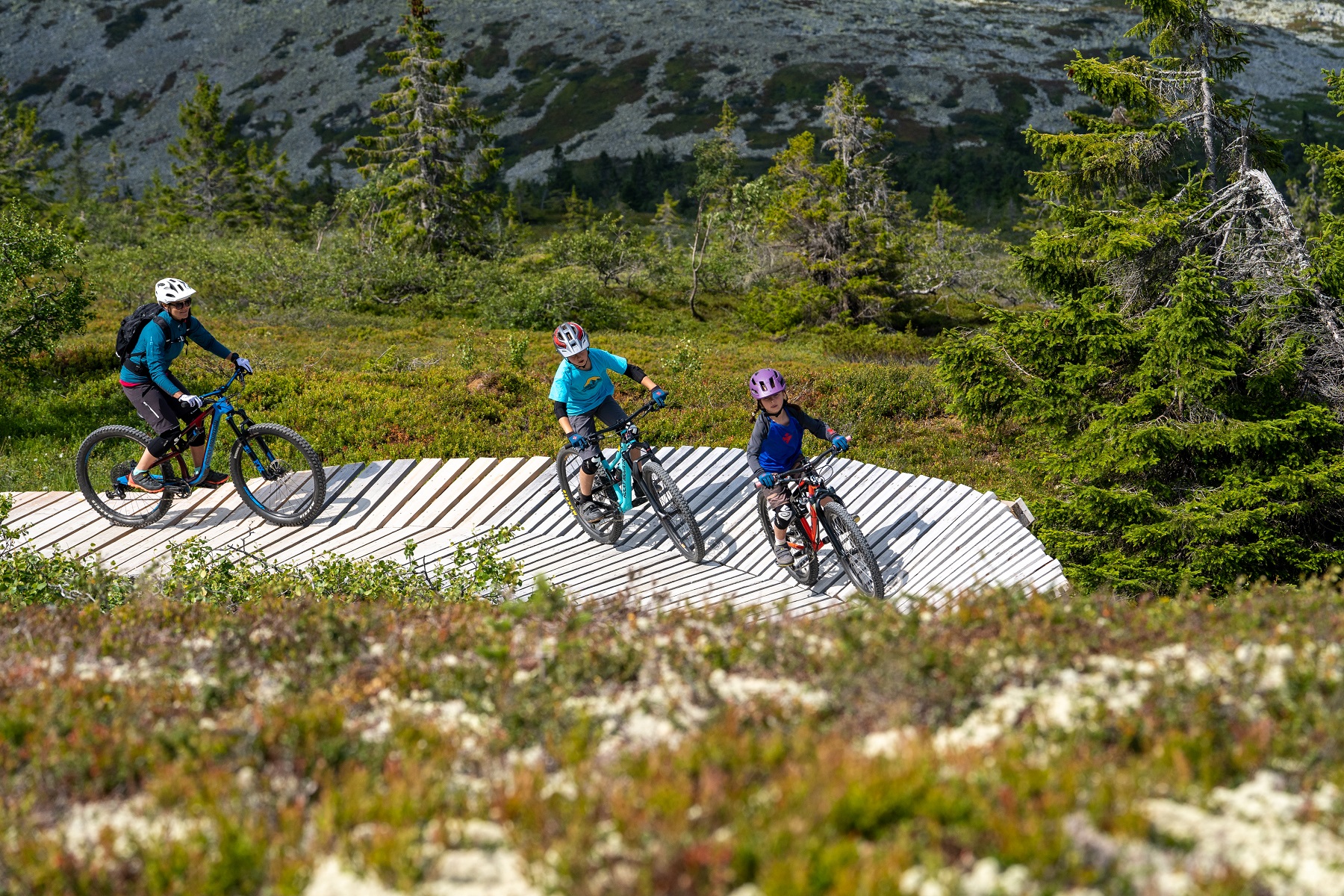 home | Bike rental Trysil